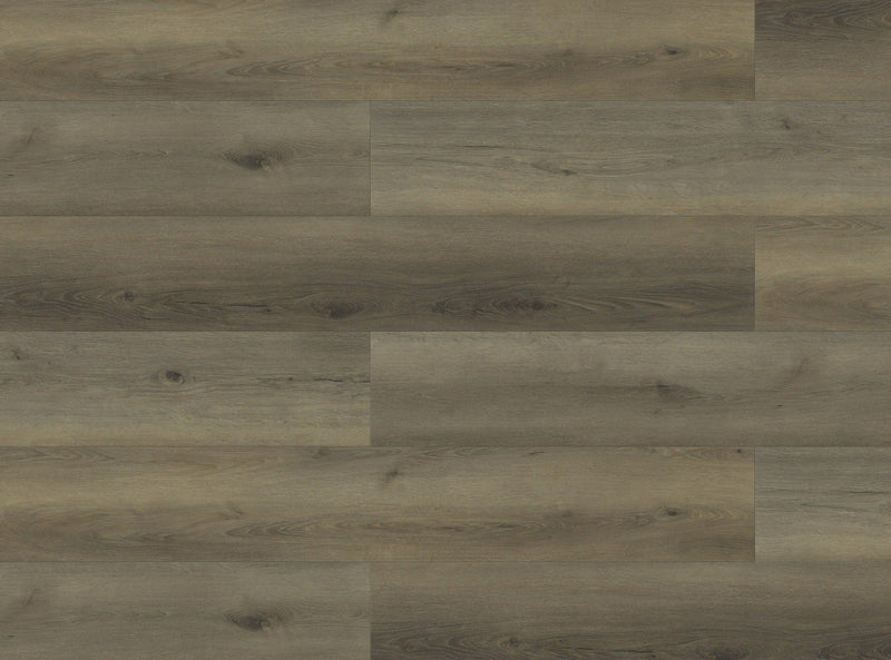 Paradigm Performer Plus Pelican – Evergreen Hardwood Floors