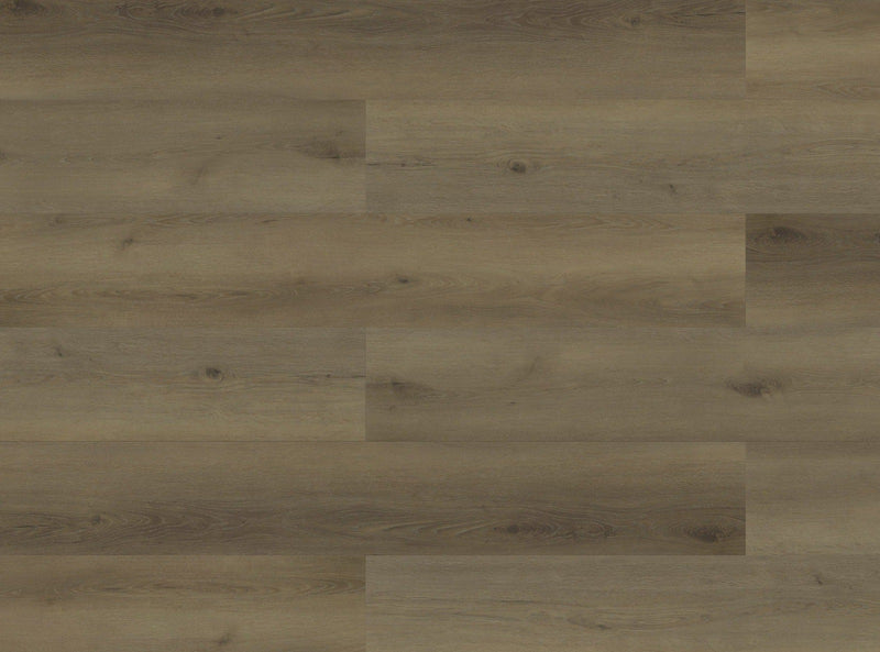 Paradigm Performer Plus Owl – Evergreen Hardwood Floors