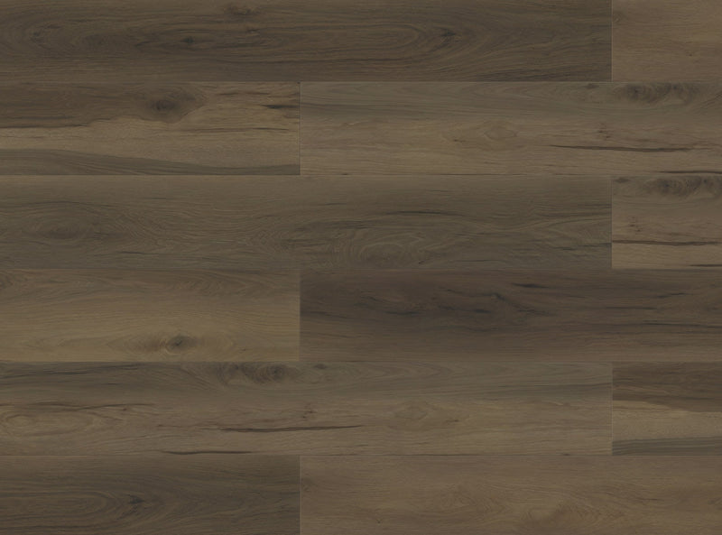 Paradigm Performer Plus Sparrow – Evergreen Hardwood Floors