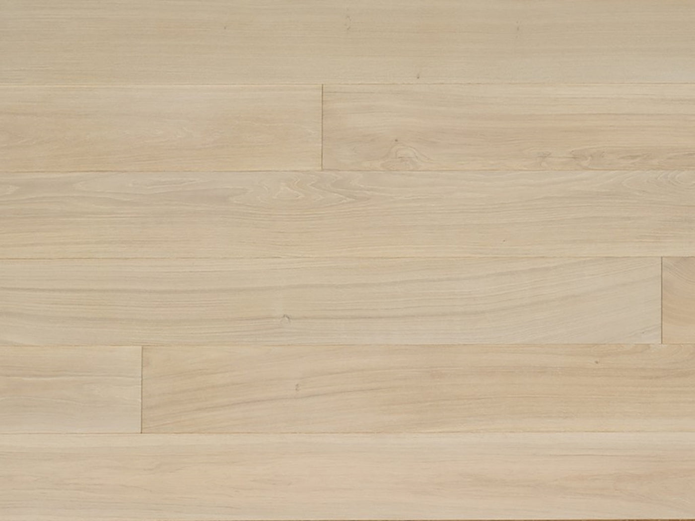Monarch Forte Bianco – Evergreen Hardwood Floors