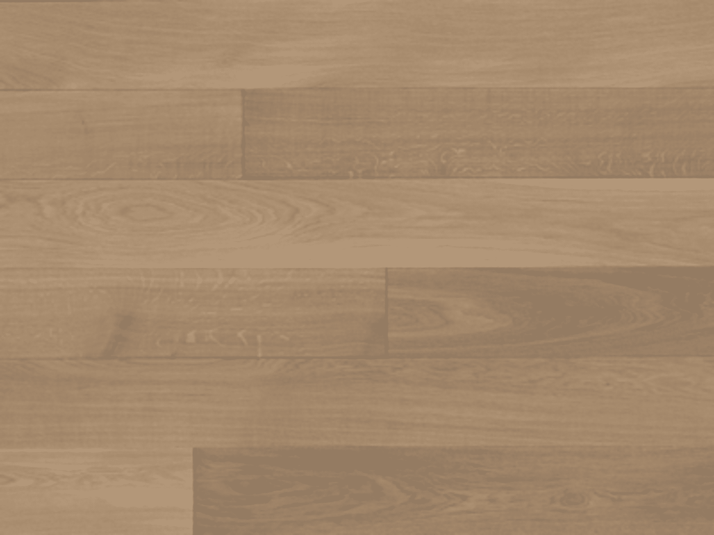 Monarch Forte La Borra – Evergreen Hardwood Floors